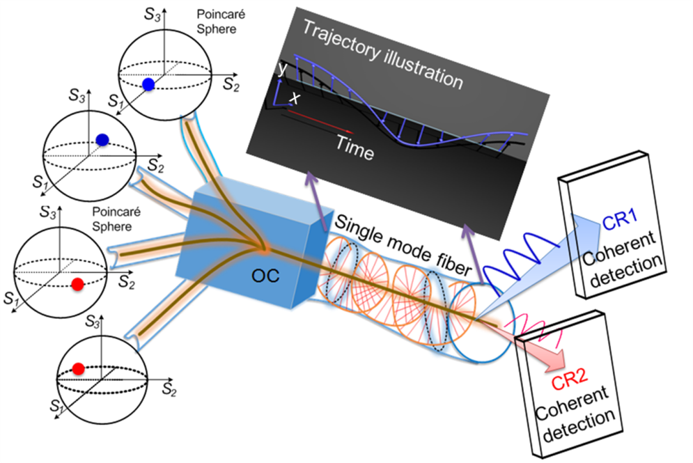 Explore Polarization Freedom To Support High Speed And Spectral Efficient Data Transmission