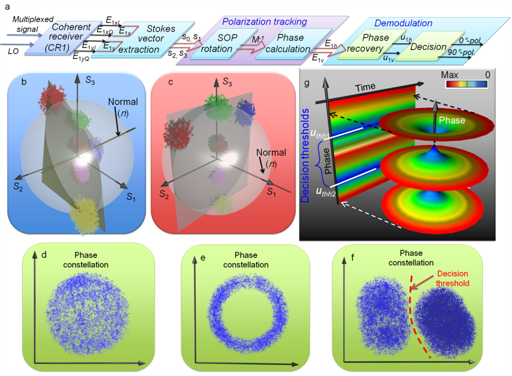 Explore Polarization Freedom To Support High Speed And Spectral Efficient Data Transmission