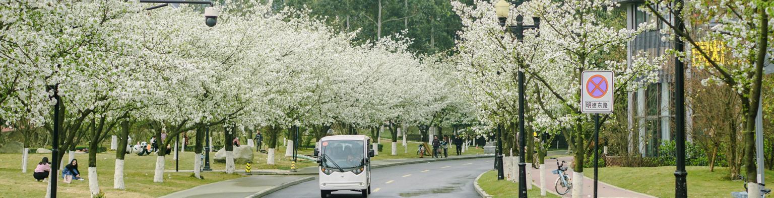 Chengdu University | World University Rankings | THE