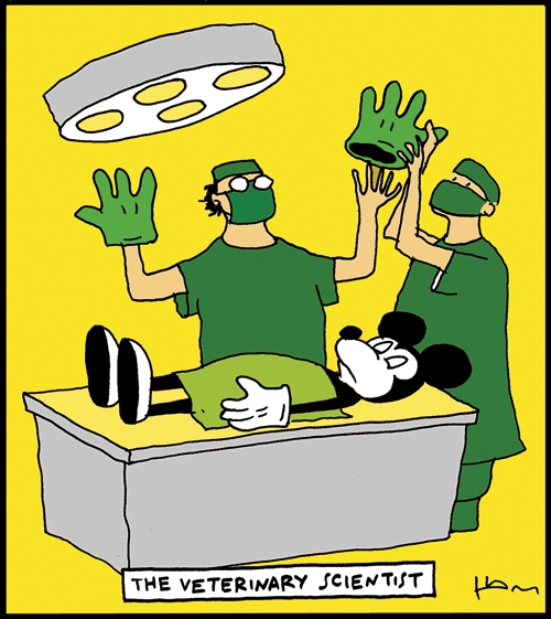 Ham cartoon | Times Higher Education (THE)