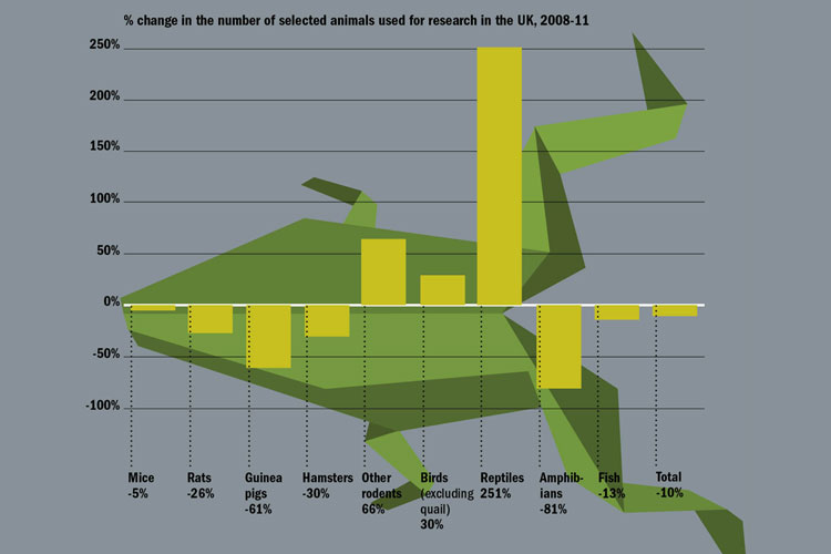 Decline in the number of animals used in research in the UK | Times ...