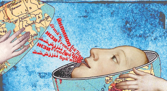 We need to put the case for languages, and universities should lead the ...