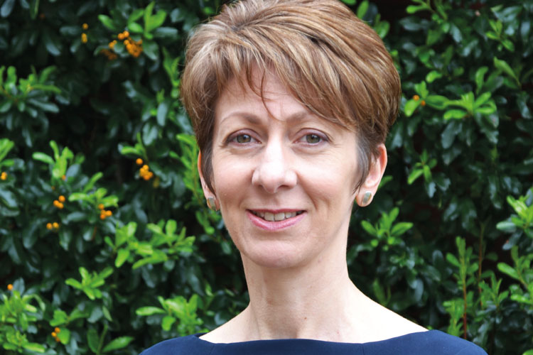 From seed to blossom: policy efforts bear fruit | Times Higher Education (THE)