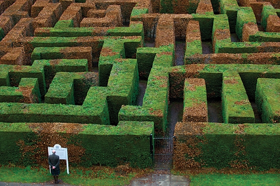 Research intelligence - Biologist finds way through Brussels maze ...