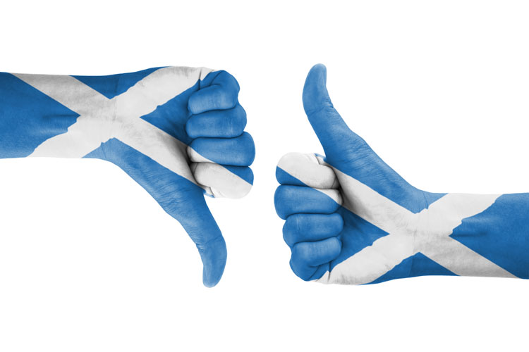 Scotland decides: tell us what result you want for Scottish ...