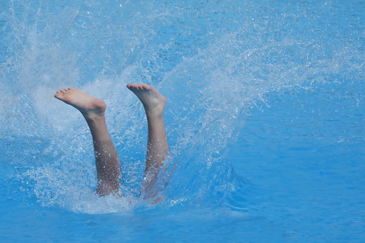 N8 to pool research to make a big splash | Times Higher Education (THE)