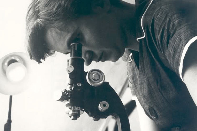 Project highlights forgotten female scientists | Times Higher Education ...