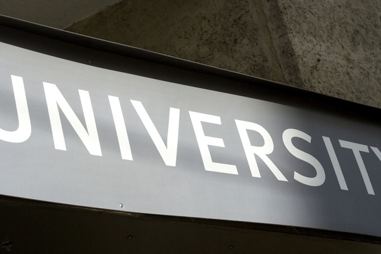 You're the boss of me now, but one day I'll go it alone | Times Higher ...