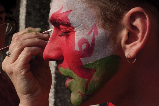 Year of the Welsh dragon | Times Higher Education (THE)