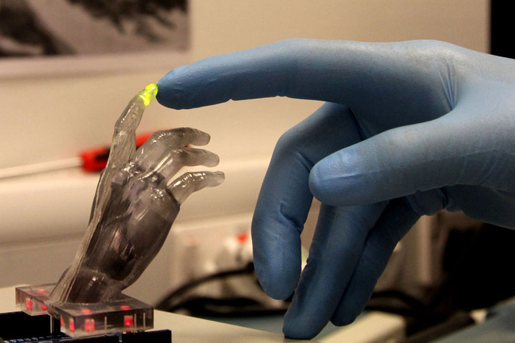 15 pictures of amazing science | Times Higher Education (THE)