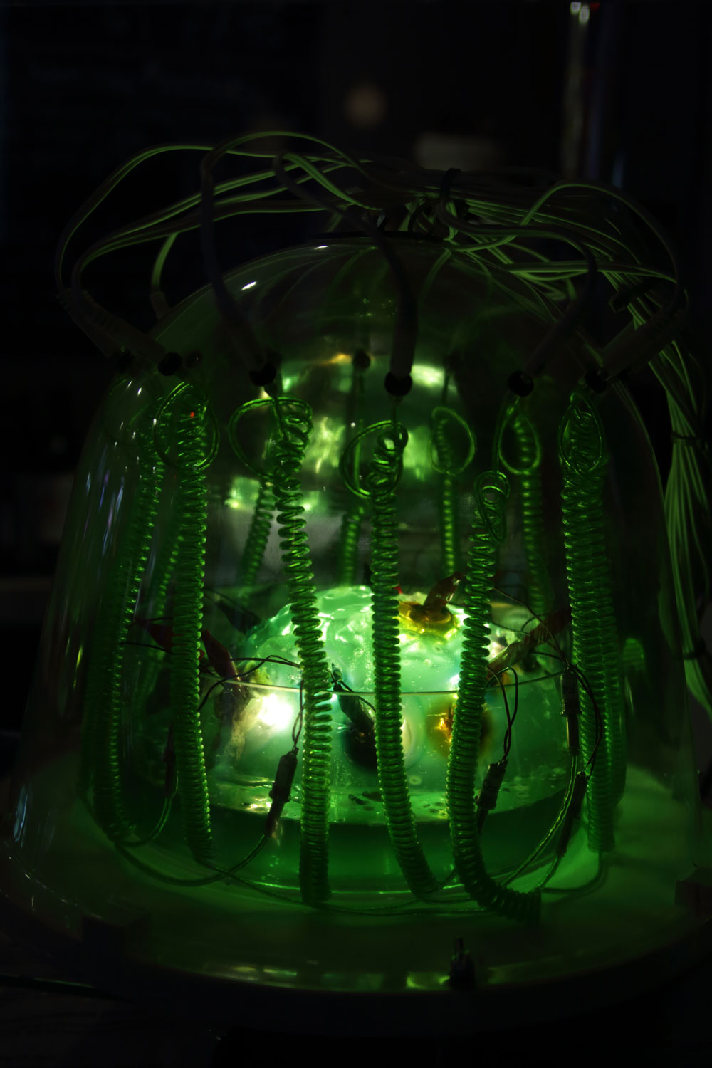 15 pictures of amazing science | Times Higher Education (THE)