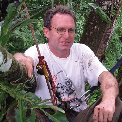 The Drunken Monkey: Why We Drink and Abuse Alcohol, by Robert Dudley ...