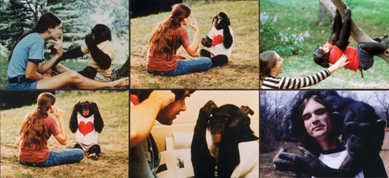 Film review: Project Nim | Times Higher Education (THE)