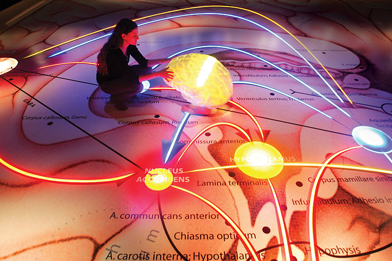 Galileo’s Error: Foundations for a New Science of Consciousness, by ...