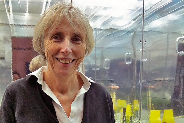 Interview with Caroline Dean | Times Higher Education (THE)