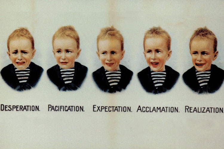 The Book of Human Emotions: An Encyclopaedia of Feeling from Anger to ...