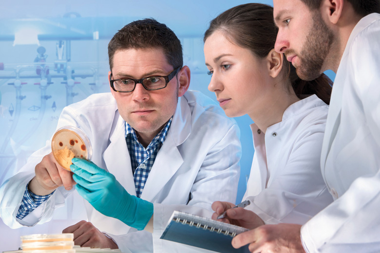 Rethink EU research funding ‘to empower young researchers’ | THE News