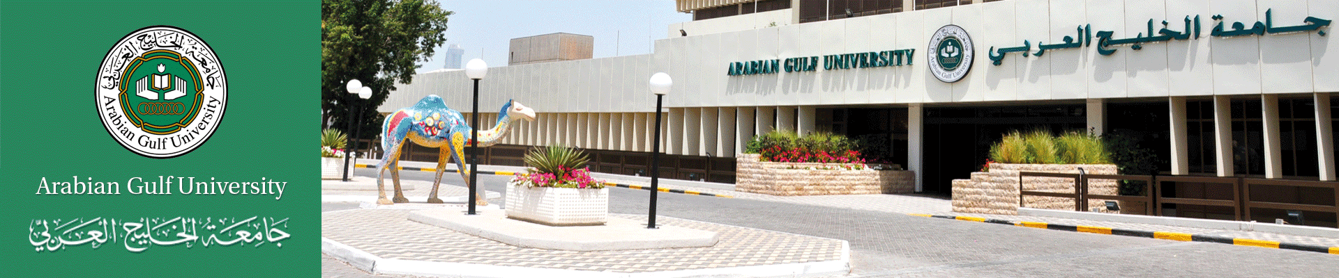 Arabian Gulf University | World University Rankings | THE
