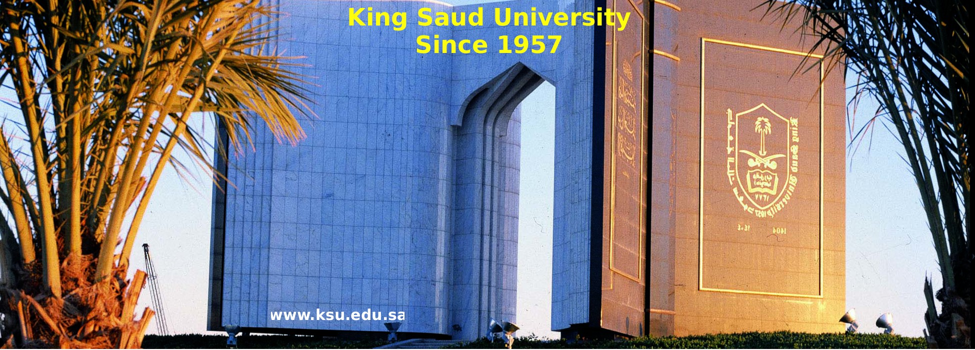 King Saud University World University Rankings | THE