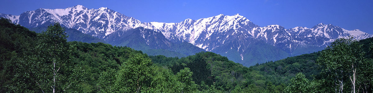 Shinshu University | World University Rankings | THE