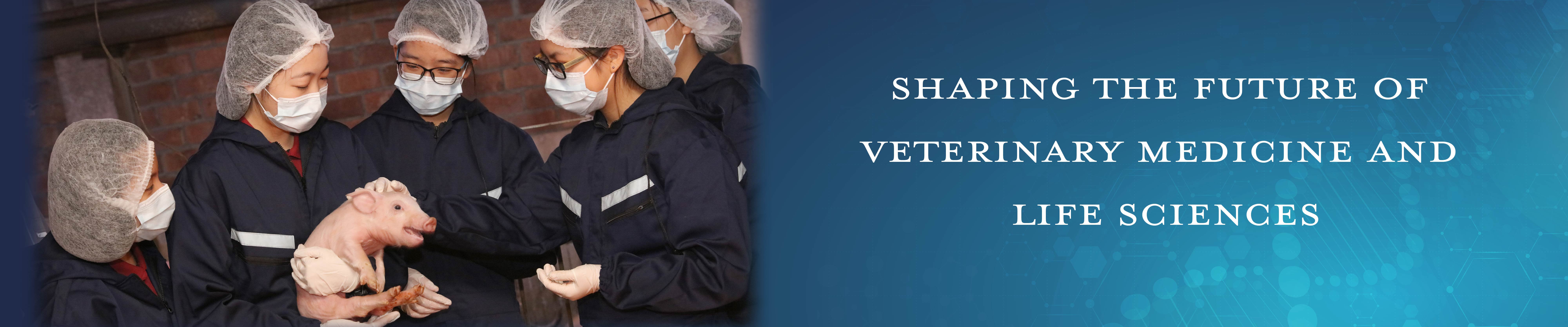 Jockey Club College of Veterinary Medicine and Life Sciences | World University Rankings | THE