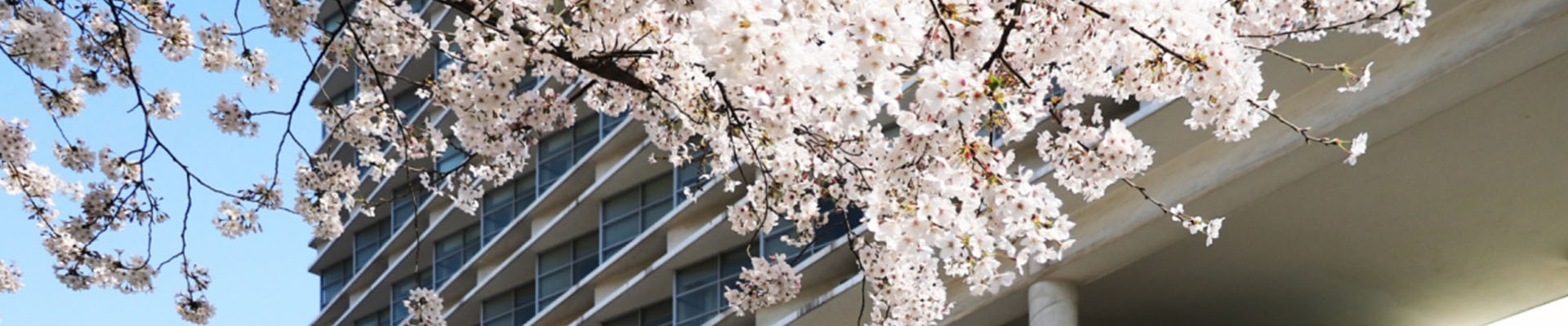 Tongji University | World University Rankings | THE