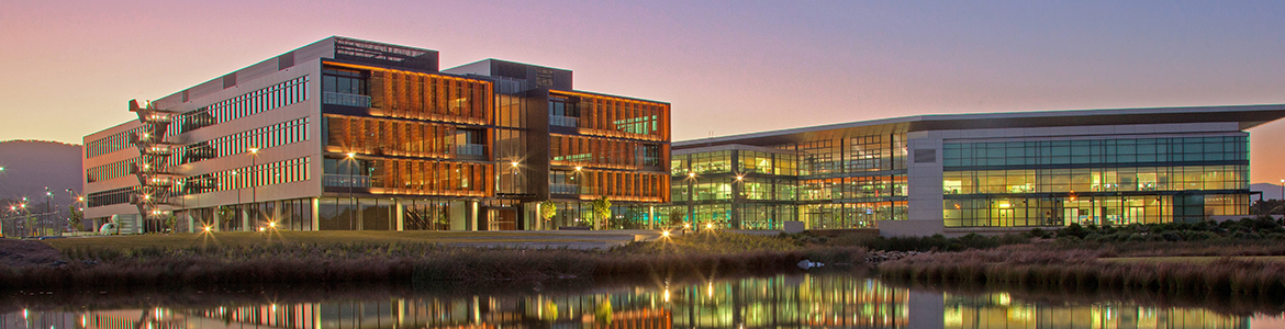 University of Wollongong to axe 92 jobs and close courses