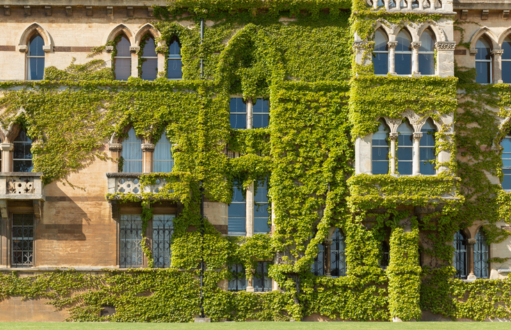 Non-clergy set to lead Christ Church, Oxford | Times Higher Education (THE)
