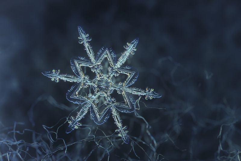 ‘Snowflake student’ threat to free speech has been debunked | THE Opinion