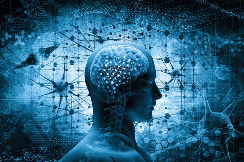 Review: I Am Not a Brain, by Markus Gabriel | THE Books