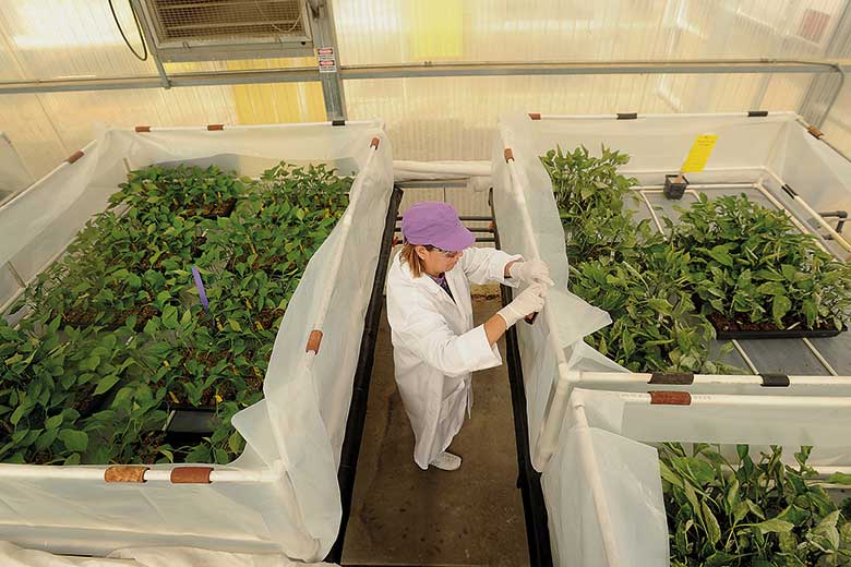 Court to rule on release of Monsanto meeting transcript | Times Higher ...