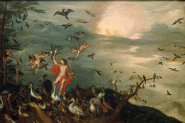 Review: Priest of Nature, by Rob Iliffe | THE Books