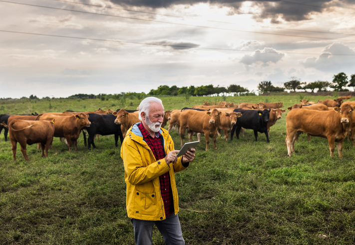 Compulsory academic retirement should be put out to pasture | Times ...