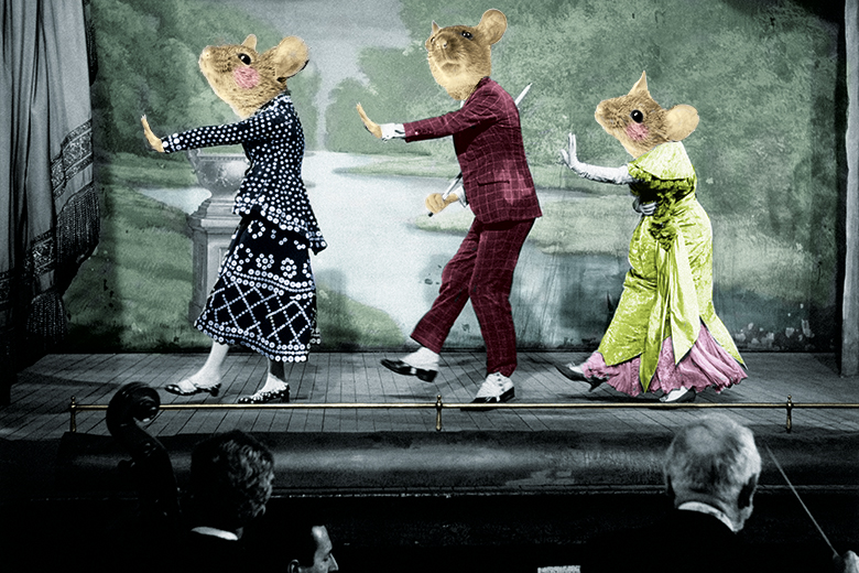 Researching singing mice: did you ever hear such a thing in your life ...