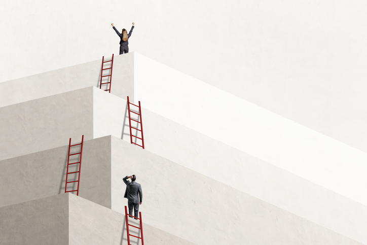 English universities must be involved at all levels of the skills system