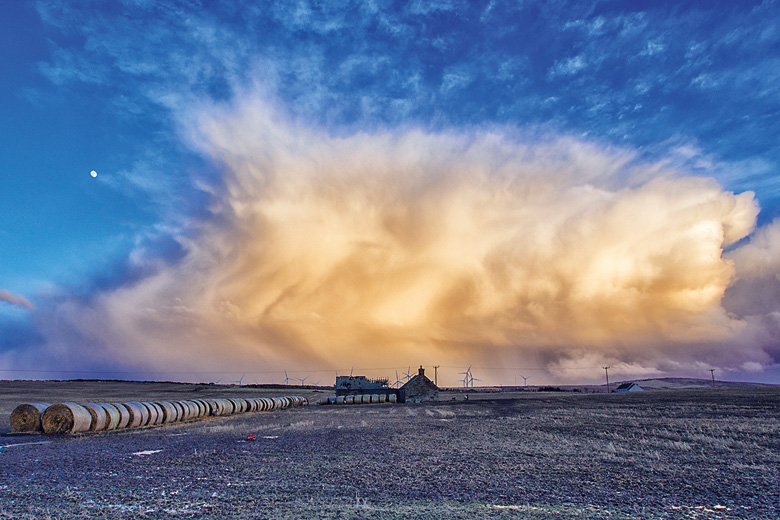 The Storm of Creativity, by Kyna Leski | Times Higher Education (THE)