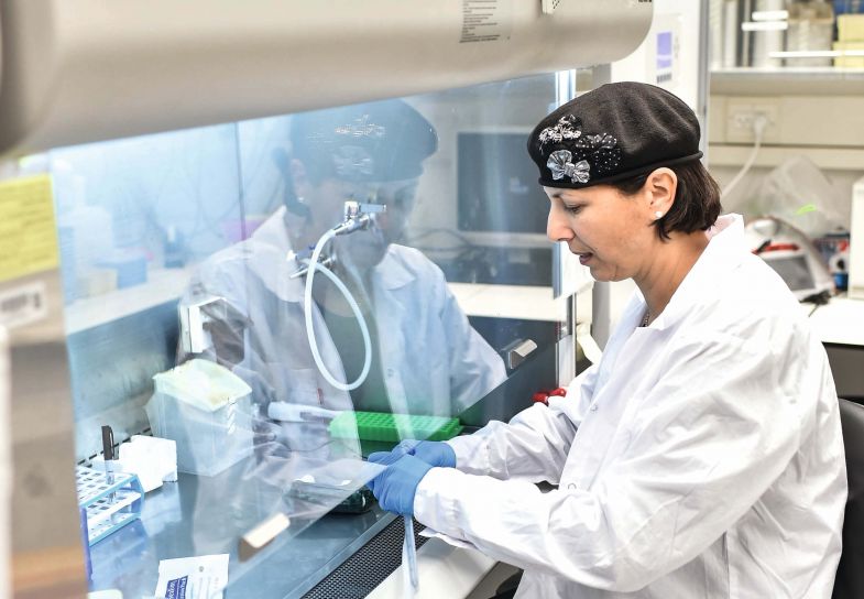 Lab-grown solutions | Times Higher Education (THE)