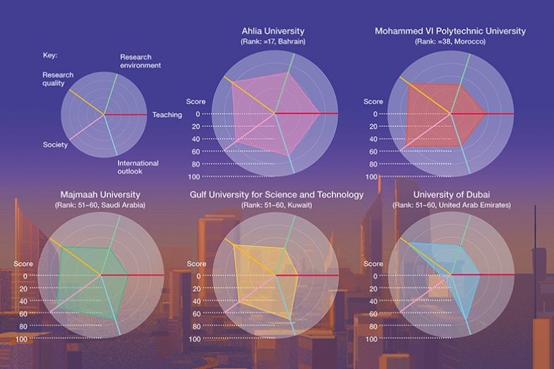 Arab University Rankings 2024: success on many levels | Times Higher ...