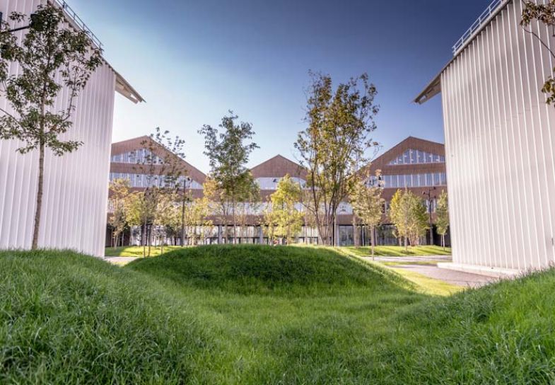 Celebrating ten years of innovation at Skoltech | Times Higher ...