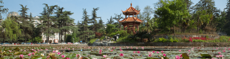 Sichuan University | World University Rankings | THE