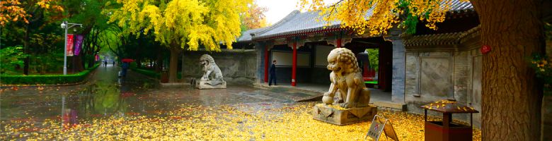Tsinghua University | World University Rankings | THE