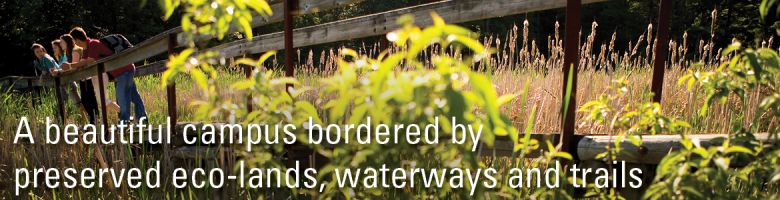 McMaster University | World University Rankings | THE