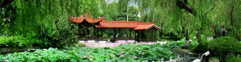 Yangzhou University | World University Rankings | THE