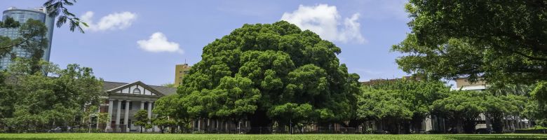 National Cheng Kung University (NCKU) | World University Rankings | THE