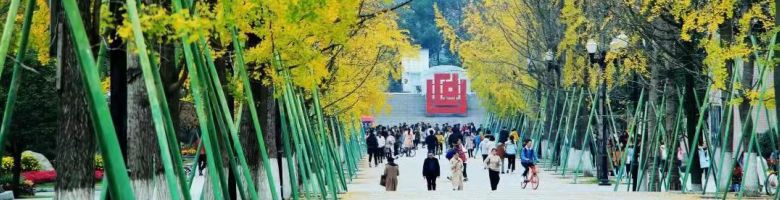 Chengdu University | World University Rankings | THE