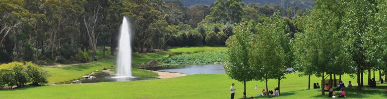 Macquarie University | World University Rankings | THE