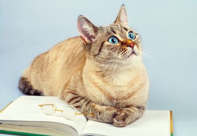 Research Matters | Times Higher Education (THE)