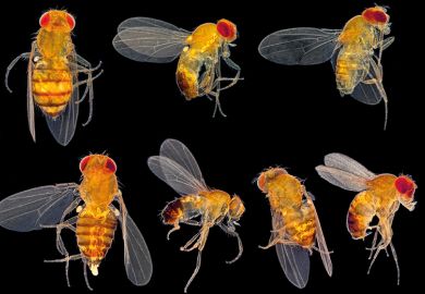 Skeletons: The Frame of Life, by Jan Zalasiewicz and Mark Williams ...