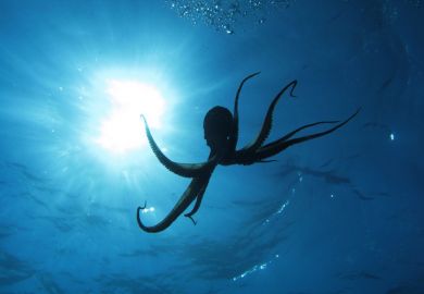 Octopus aims to grasp ‘publishing revolution science needs’ | Times ...