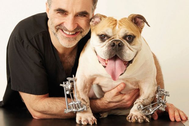 Q&A with Noel Fitzpatrick | Times Higher Education (THE)